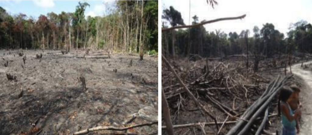 Rio Anapu-Pacaja REDD+ Project – One Tribe